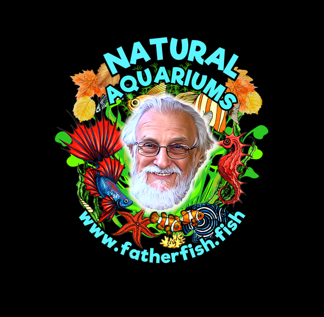 Father Fish Canada Natural Aquariums